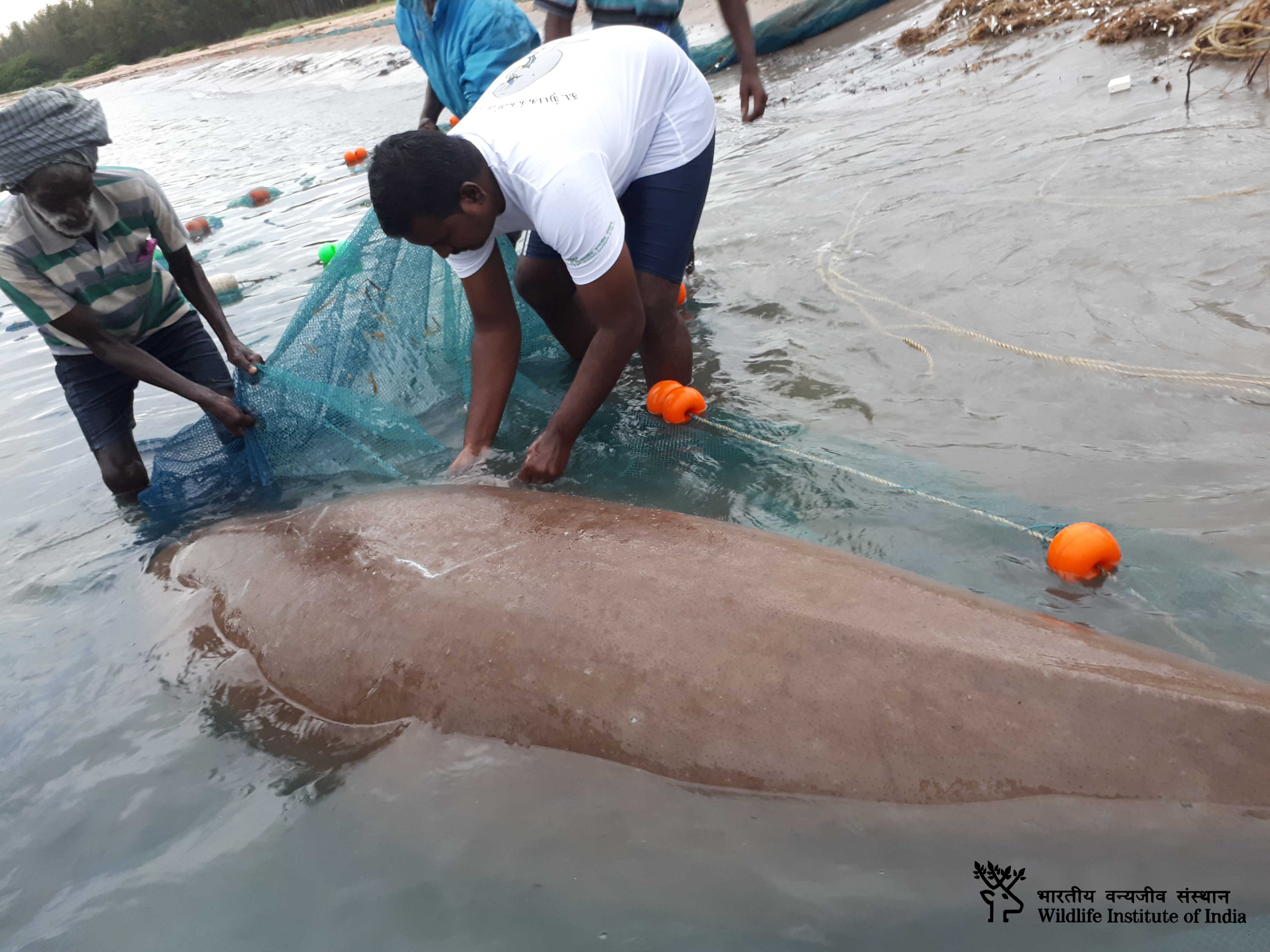 WORLD OCEANS DAY, JUNE 8TH, 2020
